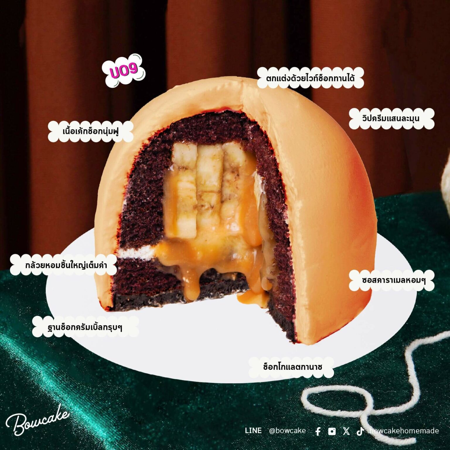 มาดูแมวที่บ้านเรามั้ย? - Bowcake